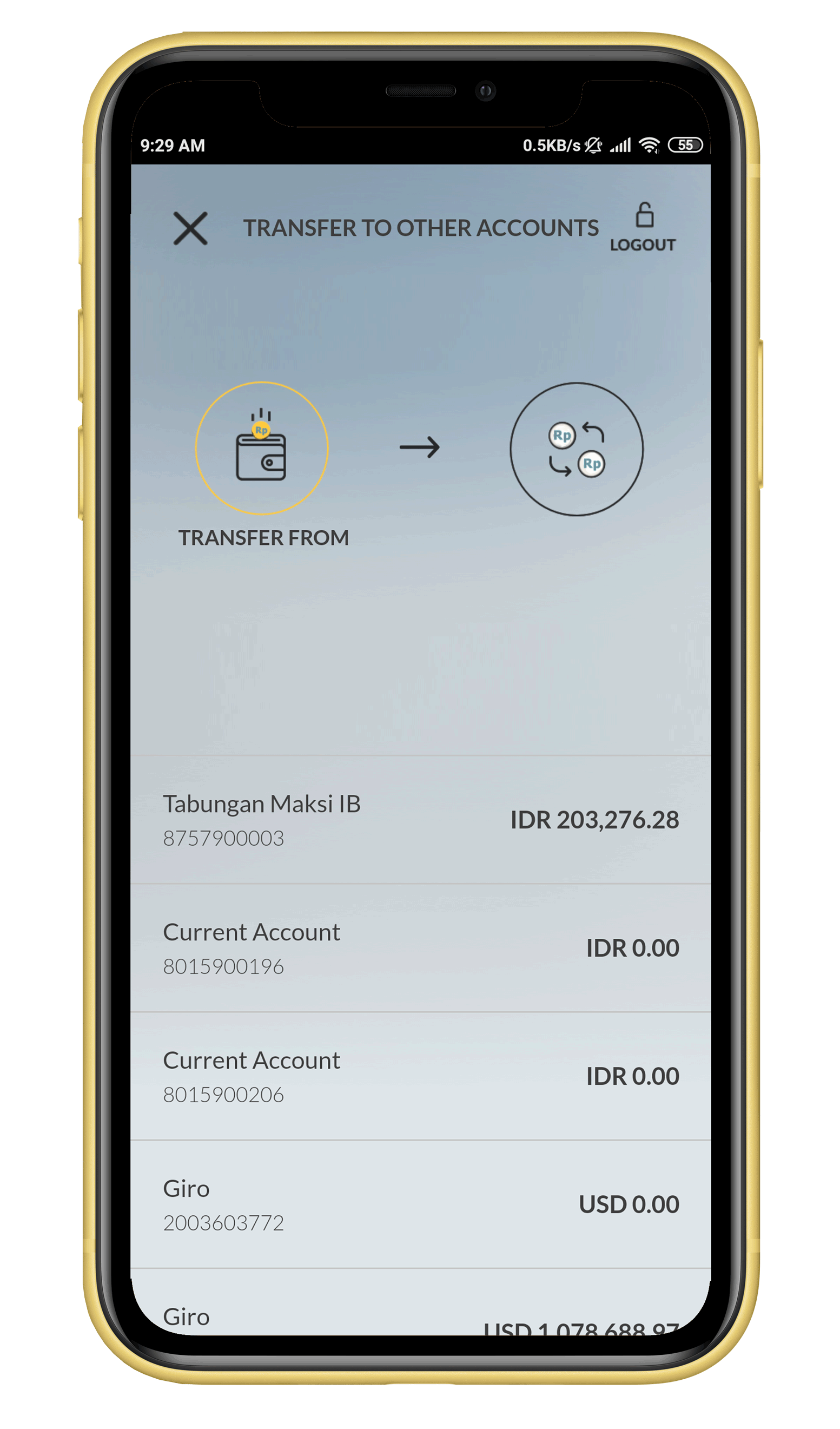 How To Transact Foreign Currency