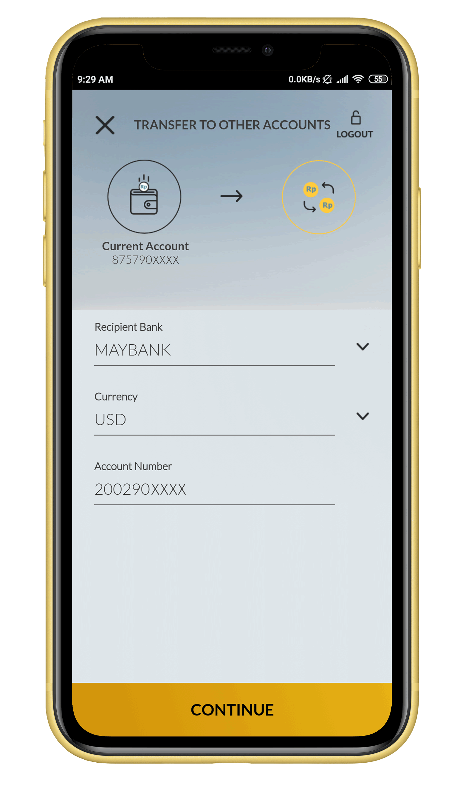 How To Transact Foreign Currency