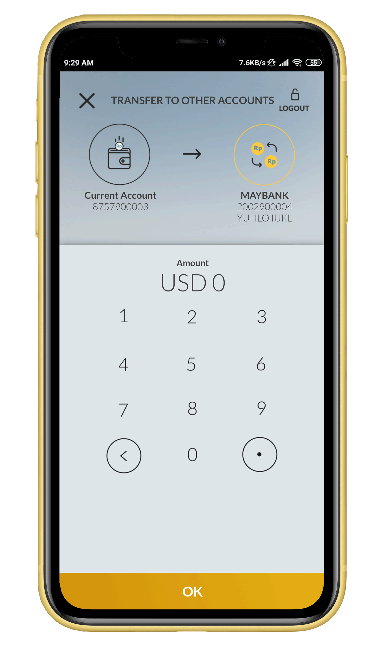 How To Transact Foreign Currency